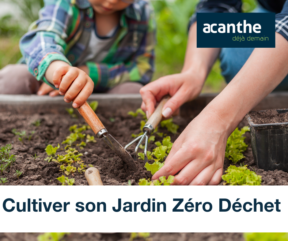 Cultiver un jardin écologique | Acanthe