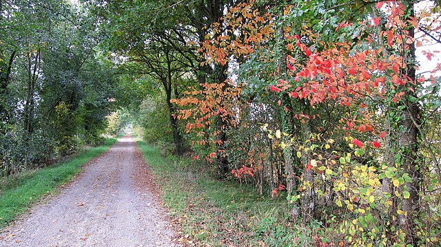 Argentré-du-Plessis - Lotissement du Hill | Acanthe